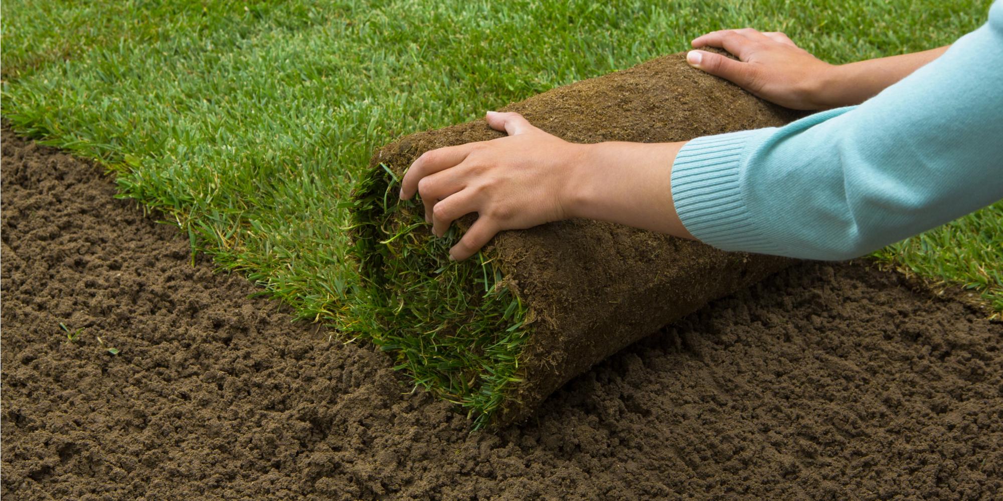 Can You Lay Turf Over Existing Grass Myhometurf