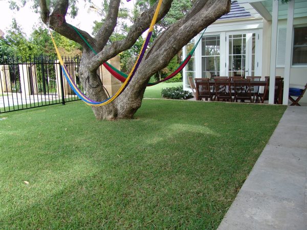 Best Shade Tolerant Grass Turf Types Myhometurf