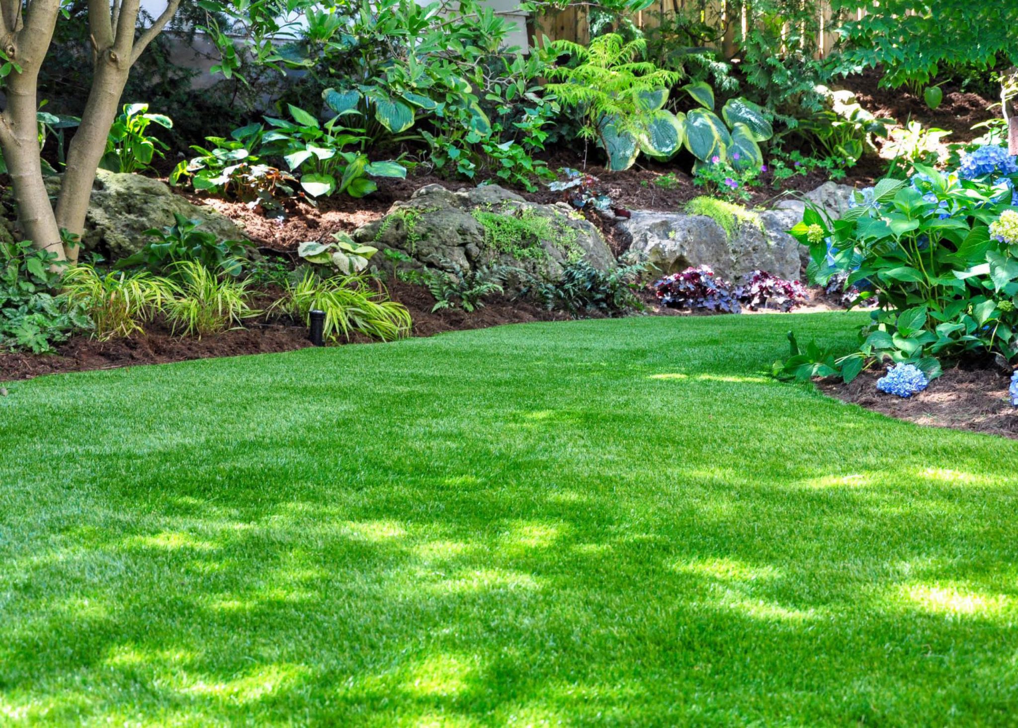 5 Best Shade Tolerant Grass Types Myhometurf